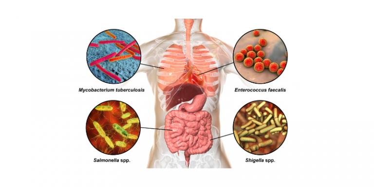 Is Untreated Water Safe To Drink? (Pathogens & Safety)